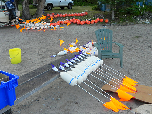 Great Lakes Fishery Commission - Great Lakes Acoustic Telemetry ...
